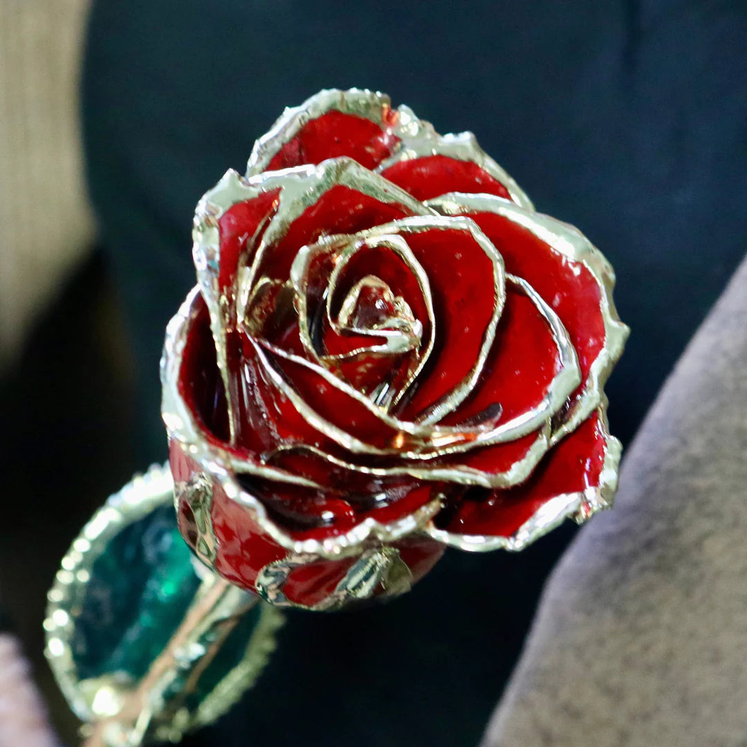Rose éternelle ouverte plaqué or 24K - rouge ( liquidation légère ...